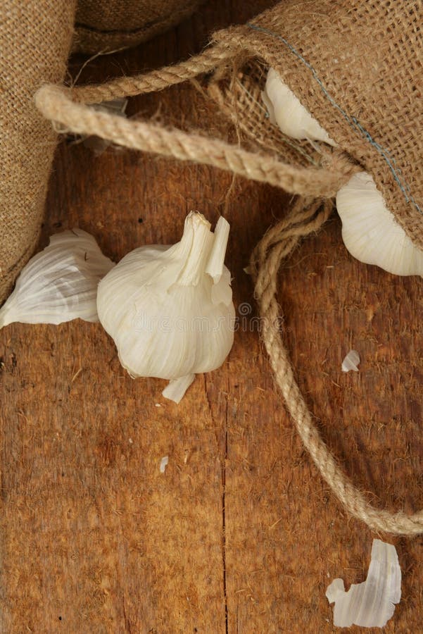 Garlic strand stock image. Image of basket, plant, italian - 55595601