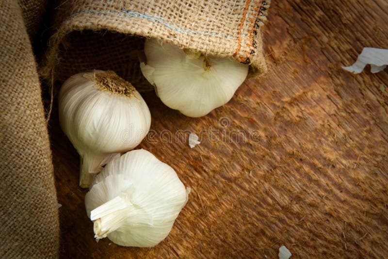 Garlic strand stock image. Image of basket, plant, italian - 55595601