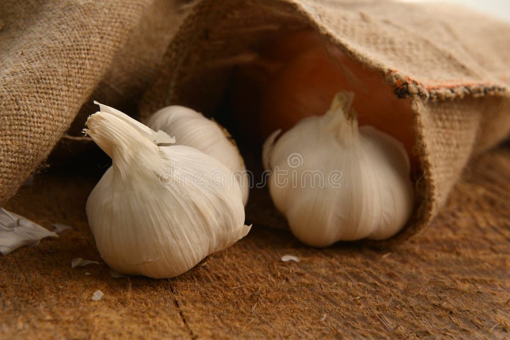 Ripe garlic stock image. Image of fabric, garlic, fiber - 27006213