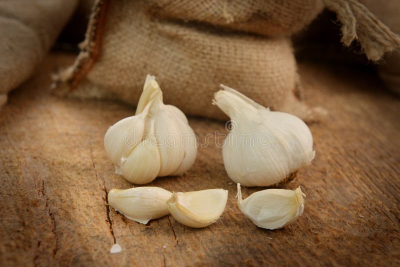 Garlic strand stock image. Image of basket, plant, italian - 55595601