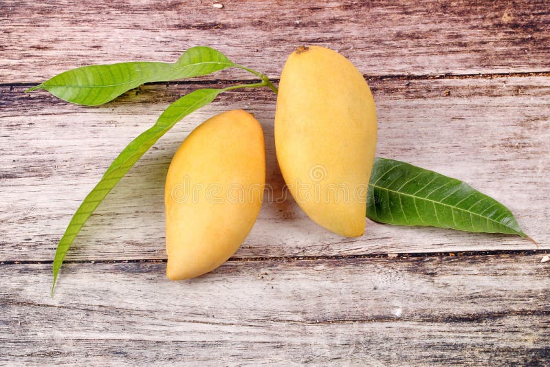 Ripe Golden Mangos with Leaf . Stock Image - Image of food, breakfast ...