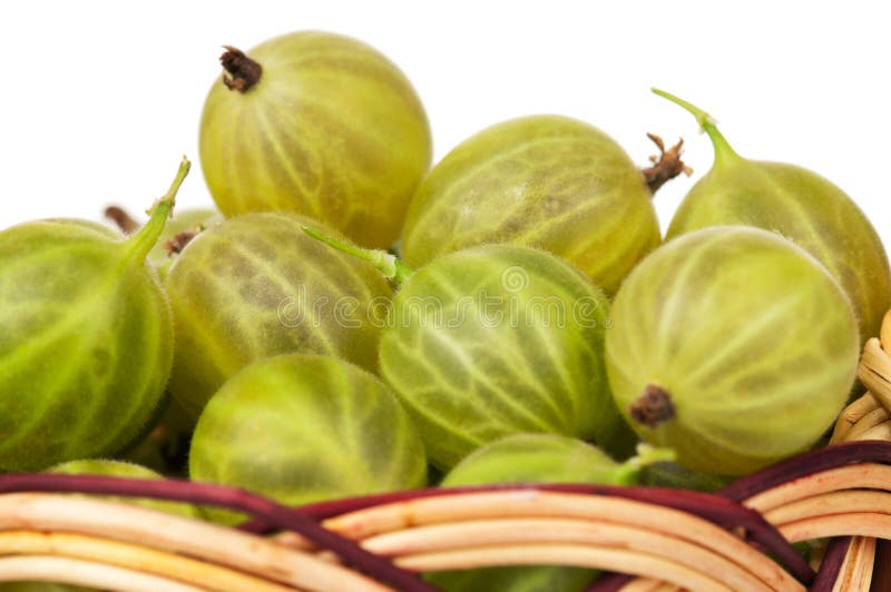 Ripe gooseberries stock photo. Image of macro, freshness - 27772866