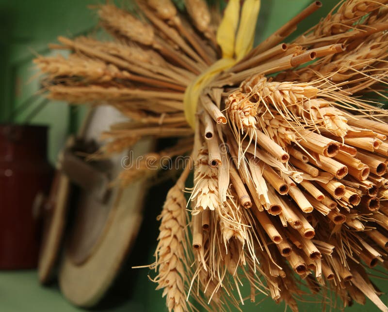 Ripe grain in the barn stock image. Image of bound, wheat - 93724997