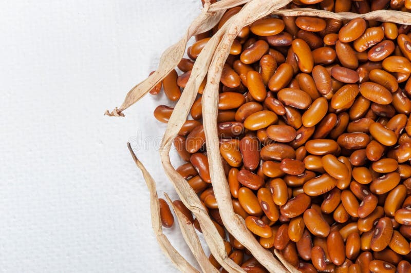 Ripe Grain Beans on a Light Background Stock Photo - Image of organic ...