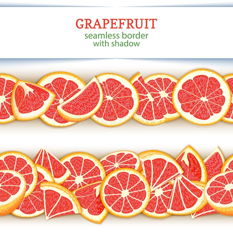 Ripe Grapefruit Fruit Horizontal Seamless Borders. Vector Illustration ...