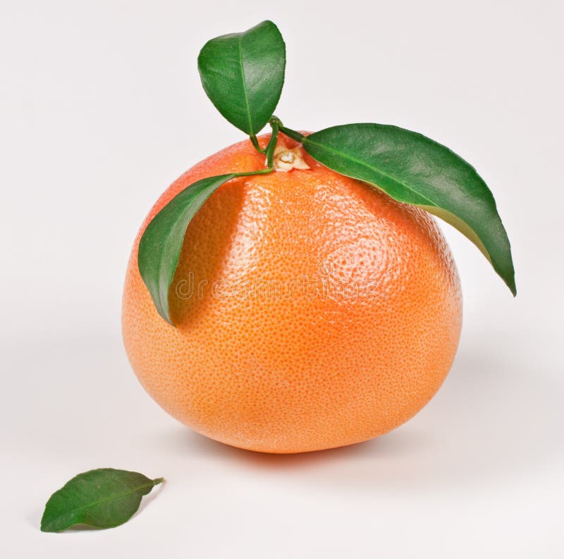 Ripe Grapefruit Whith Green Leaf Stock Image - Image of grapefruit ...