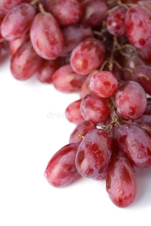 Ripe grapes isolated stock photo. Image of closeup, grape - 7029222