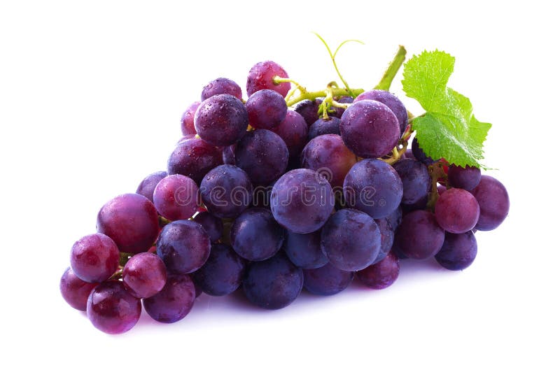 Ripe grapes . stock image. Image of branch, ripe, berry - 43466701