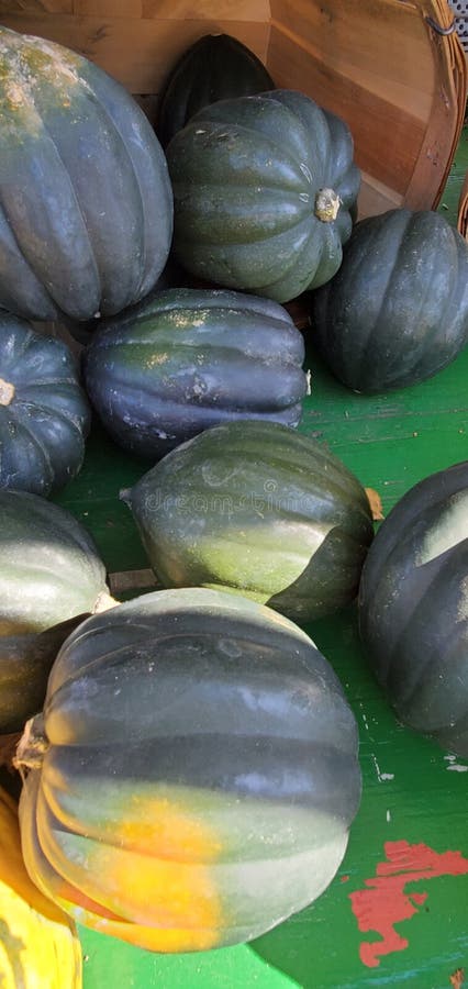 Squassh Stock Photos - Free & Royalty-Free Stock Photos from Dreamstime