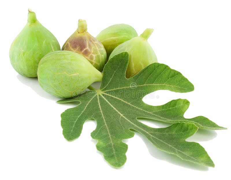 Ripe Green Fig Fruits and Leaf Stock Image - Image of background ...