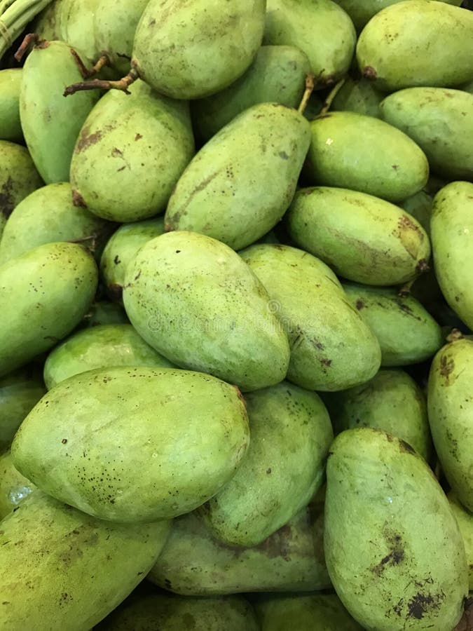 Ripe green mango fruits stock photo. Image of market - 90655460