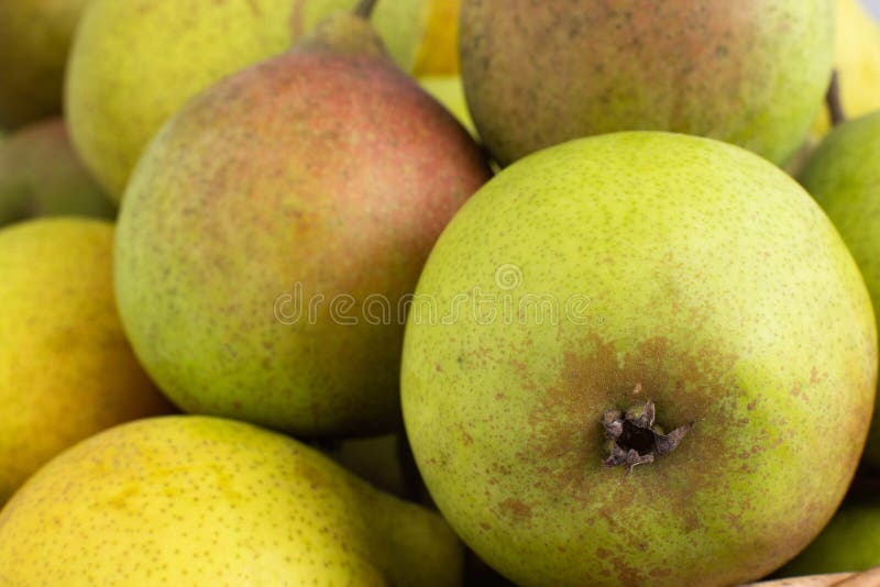 Ripe Green Pears, Close-up. Background from Fruit Pears, Organic Stock ...