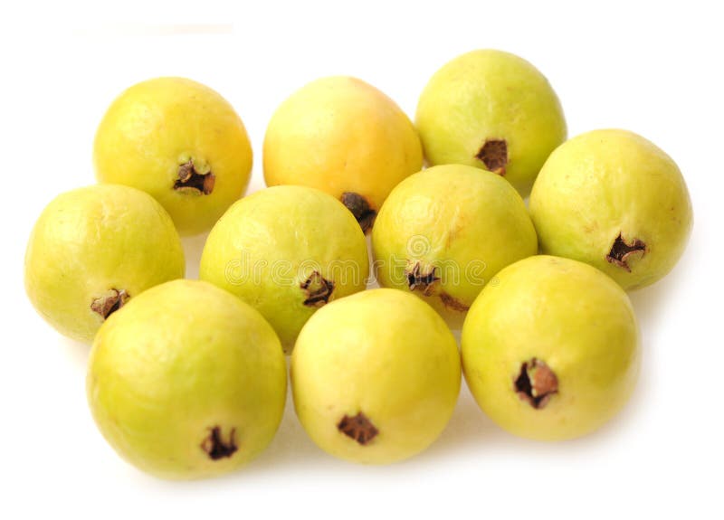 Ripe guava stock image. Image of fruit, color, guava - 42403103