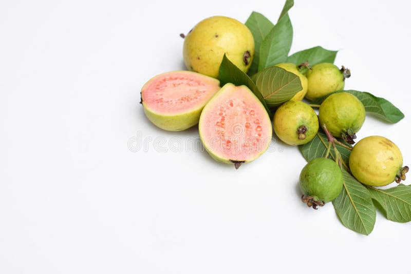 Ripe Guava Fruit with Leaves on White Background with Copy Space Stock ...