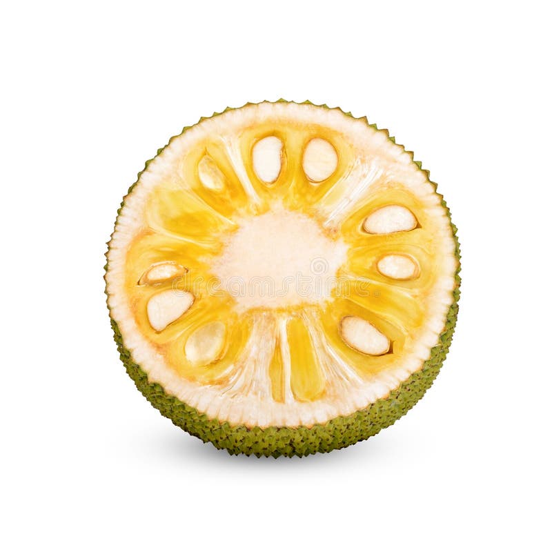 Ripe Half Jackfruit Isolated on White Background Stock Image - Image of ...