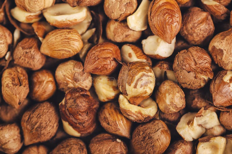 407 Ripe Hazelnuts As Background Stock Photos - Free & Royalty-Free ...