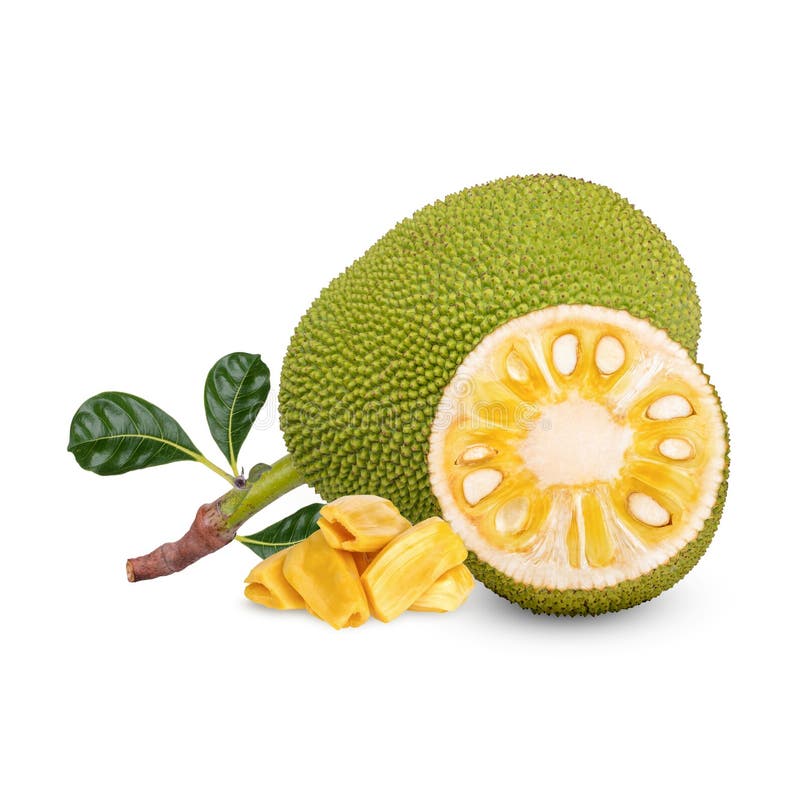 Ripe Jackfruit Isolated on White Background Stock Image - Image of ...