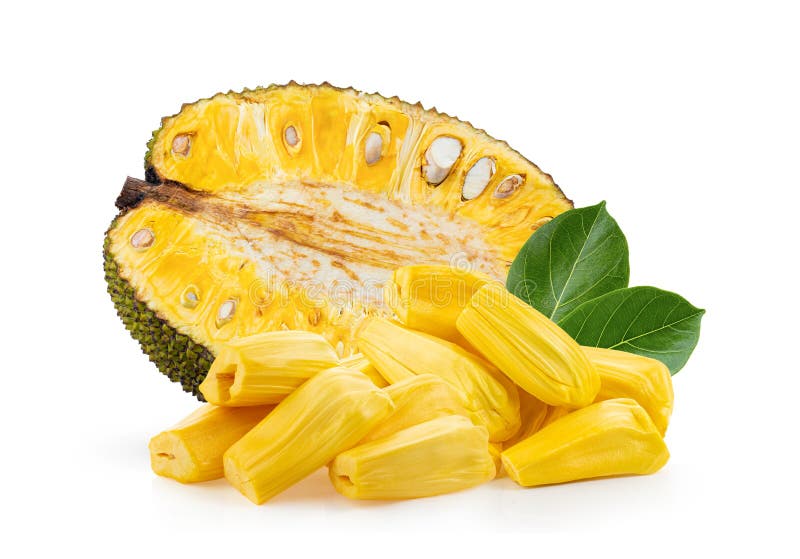 Ripe Jackfruit Isolated on White Background Stock Photo - Image of ... Ripe Jackfruit Isolated on White Background Stock Photo - Image of ...