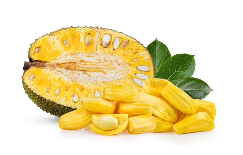 Ripe Jackfruit Isolated on White Background Stock Image - Image of ... Ripe Jackfruit Isolated on White Background Stock Image - Image of ...