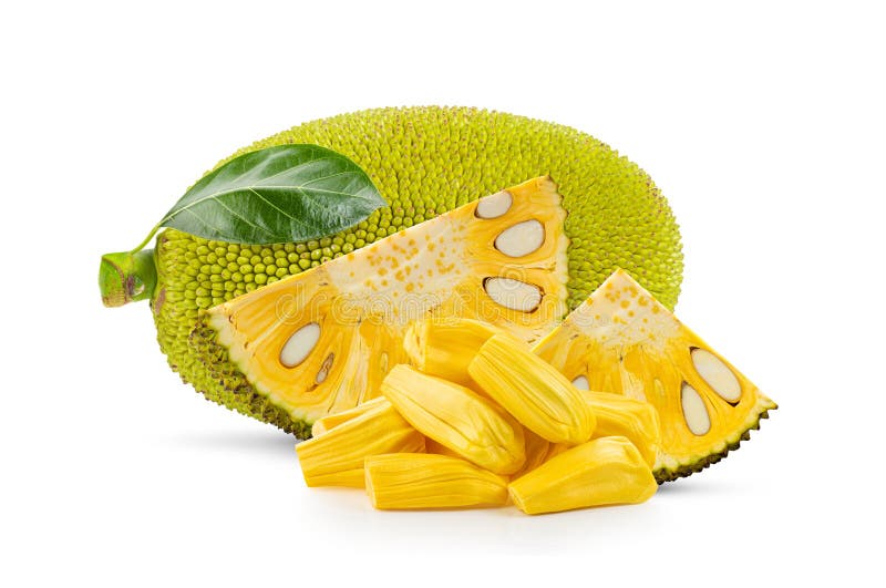 Ripe Jackfruit Isolated on White Background Stock Photo - Image of food ... Ripe Jackfruit Isolated on White Background Stock Photo - Image of food ...