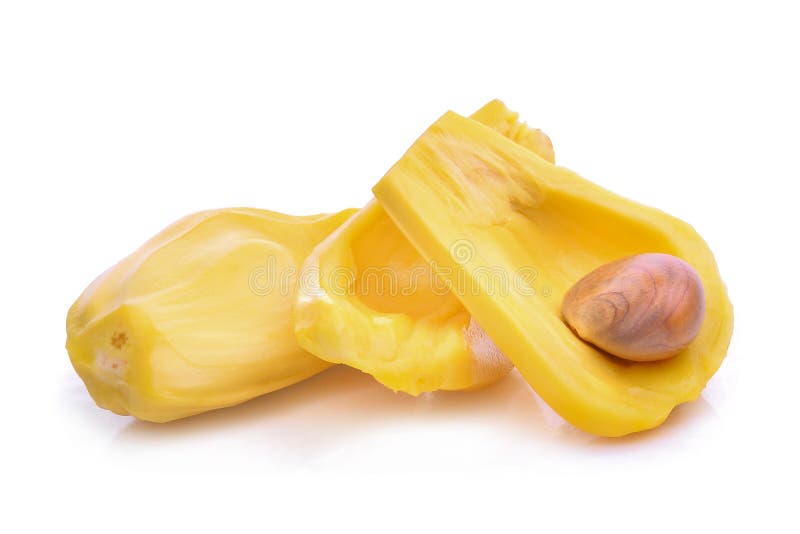 Ripe jackfruit on white stock photo. Image of nature - 92868038