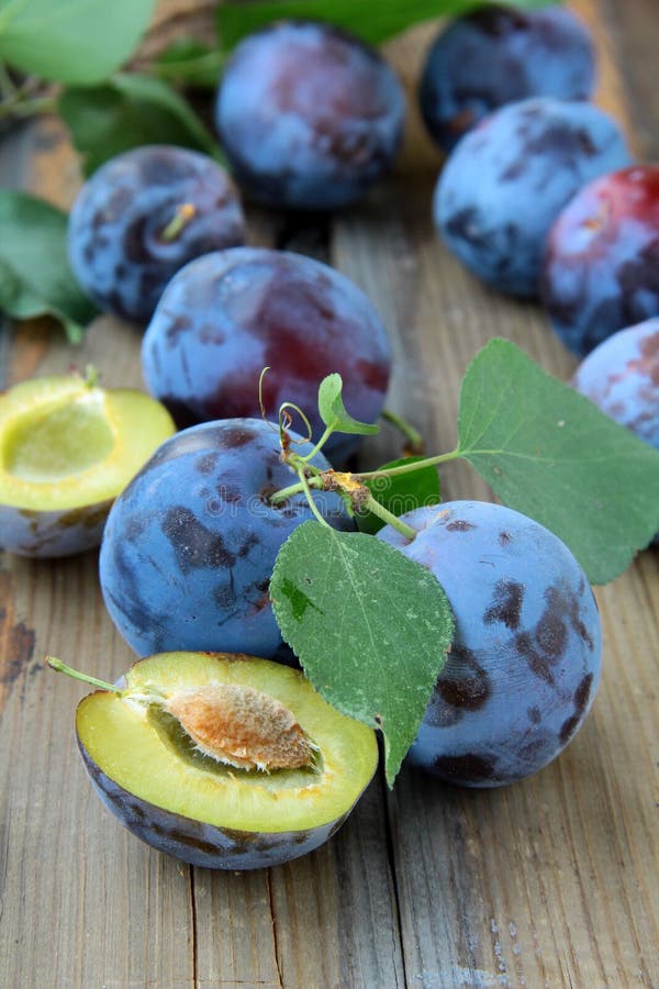 Blue Plum stock image. Image of brown, plum, shape, fruit - 97968793
