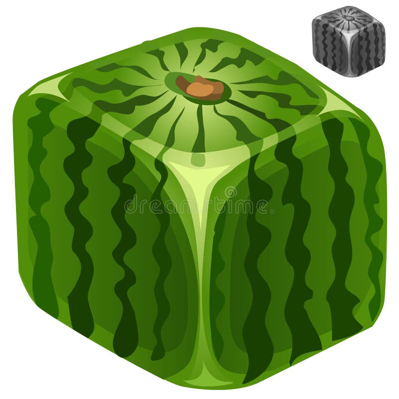 Ripe Juicy Delicious Square Watermelon Stock Vector - Illustration of ...
