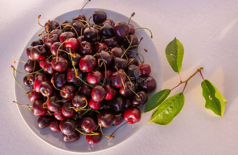 Ripe Juicy Large Fragrant Cherries on a Plate. Stock Image - Image of ...