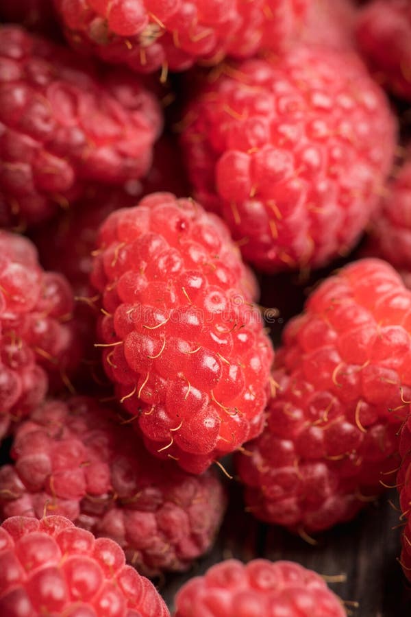 Ripe and Juicy Raspberry on the Dark Rustic Background Stock Photo ...
