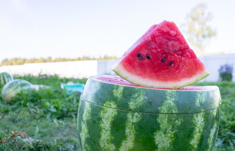 Ripe Juicy Red Delicious Fresh Watermelon Slice. Stock Photo - Image of ...