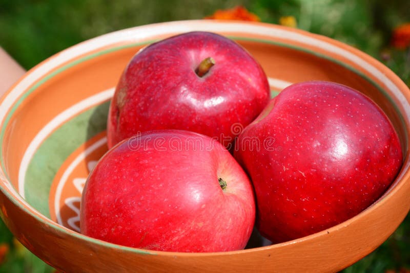 Two appels stock photo. Image of appels, closeup, single - 96482642