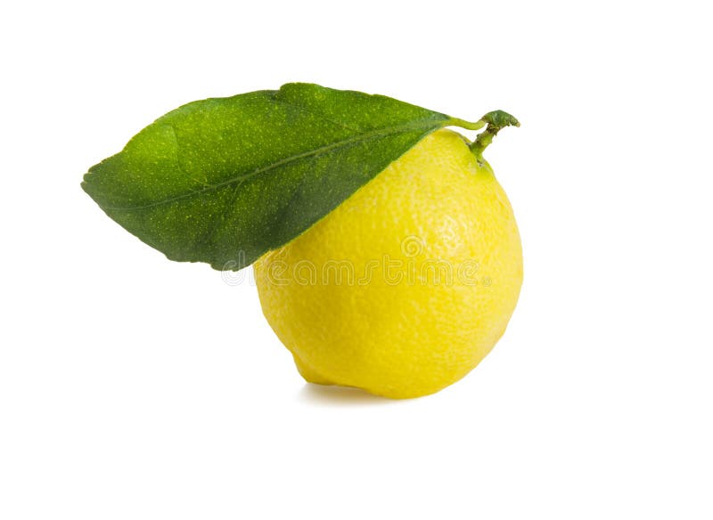 Ripe Lemon with Green Leaf on White. Stock Photo - Image of yellow ...