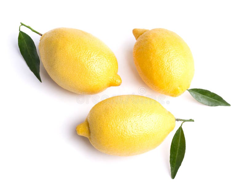 Ripe lemon stock image. Image of food, organic, juicy - 35926699