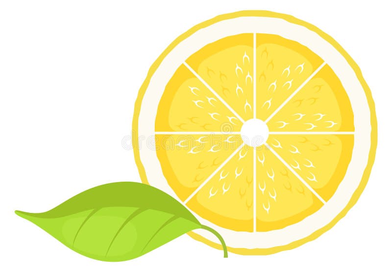 Ripe Lemon Slice. Fresh Citrus Stock Illustration - Illustration of ...
