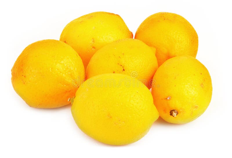 Ripe Lemons stock image. Image of juicy, color, nature - 3247219