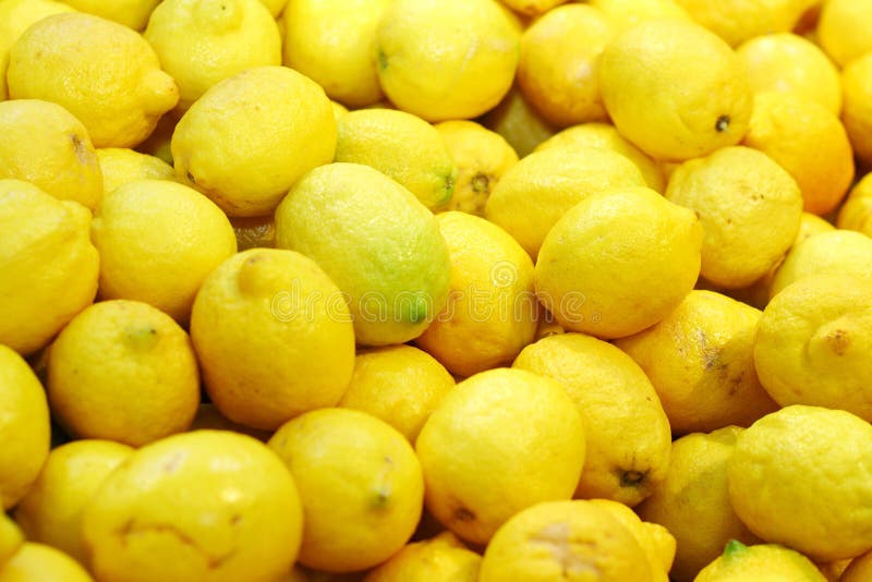 Ripe lemons for lemonade stock photo. Image of fresh - 14382114