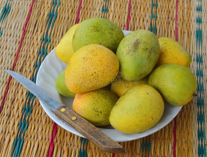 Ripe Local Thai Mangoes and Pomegranate Stock Photo - Image of ...