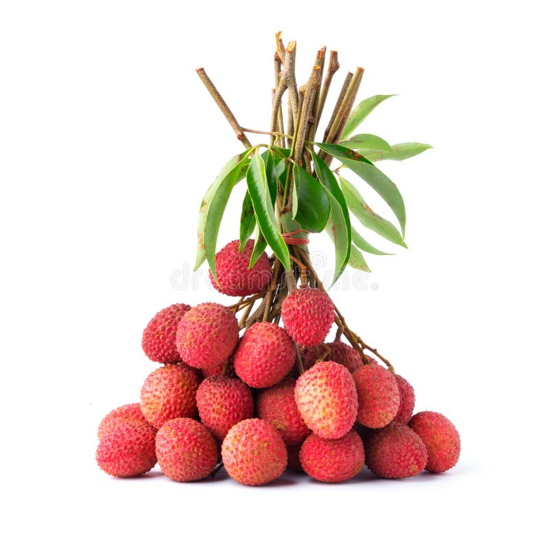 Ripe lychee fruit stock photo. Image of leafy, details - 17476044