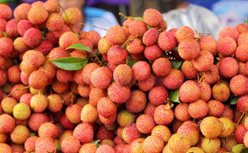 Ripe lychee in the market stock photo. Image of food - 40969370