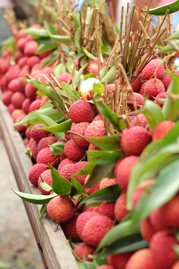 Ripe lychee in the market stock photo. Image of food - 42205646