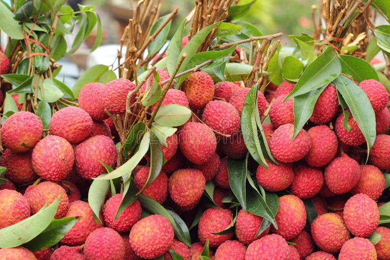 Ripe lychee in the market stock image. Image of refreshing - 55803919