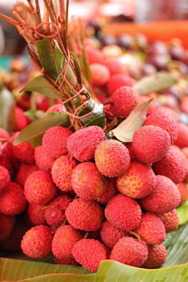 Ripe lychee in the market stock photo. Image of table - 41142240