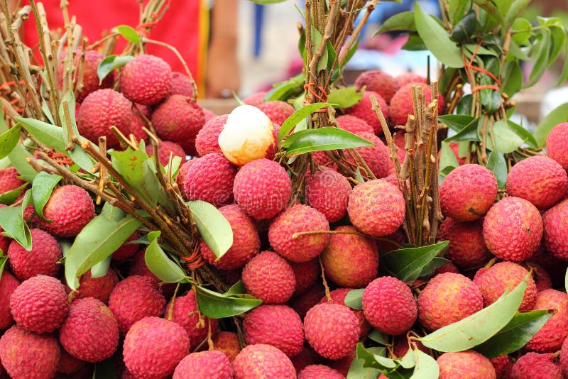 Ripe lychee in the market stock image. Image of berry - 41922513