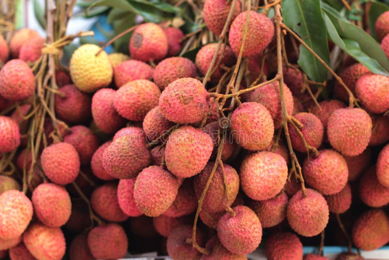 Ripe lychee in the market stock photo. Image of food - 42205646