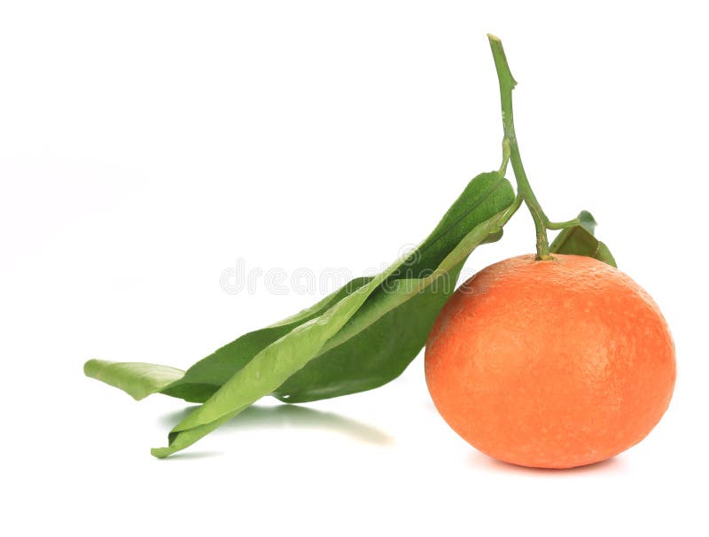 Ripe Mandarin with Green Leaves. Stock Photo - Image of isolated, color ...
