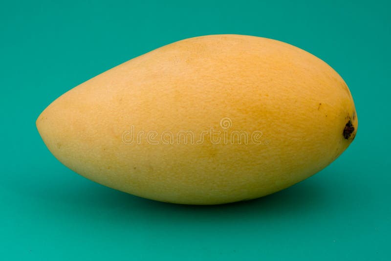 Ripe mango stock image. Image of produce, health, sweet - 11117293