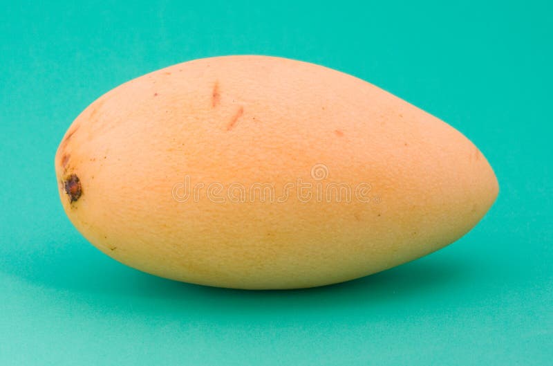 Ripe mango stock photo. Image of antioxidants, goodness - 11160804