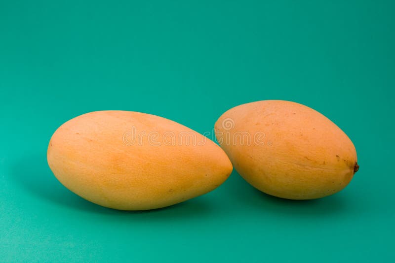 Ripe mango stock image. Image of sweet, nature, food - 11174721