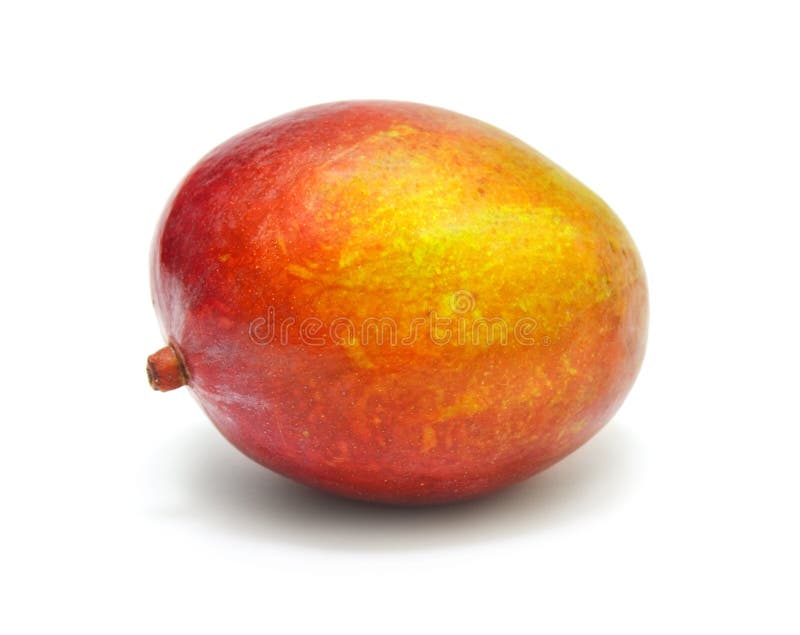 Ripe Mango stock photo. Image of tropical, organic, natural - 2911256