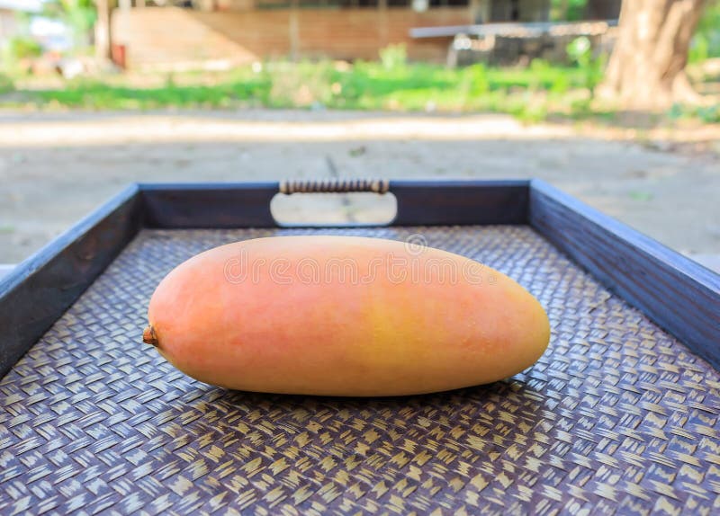 Ripe mango in Bamboo tray stock photo. Image of bamboo - 55230662